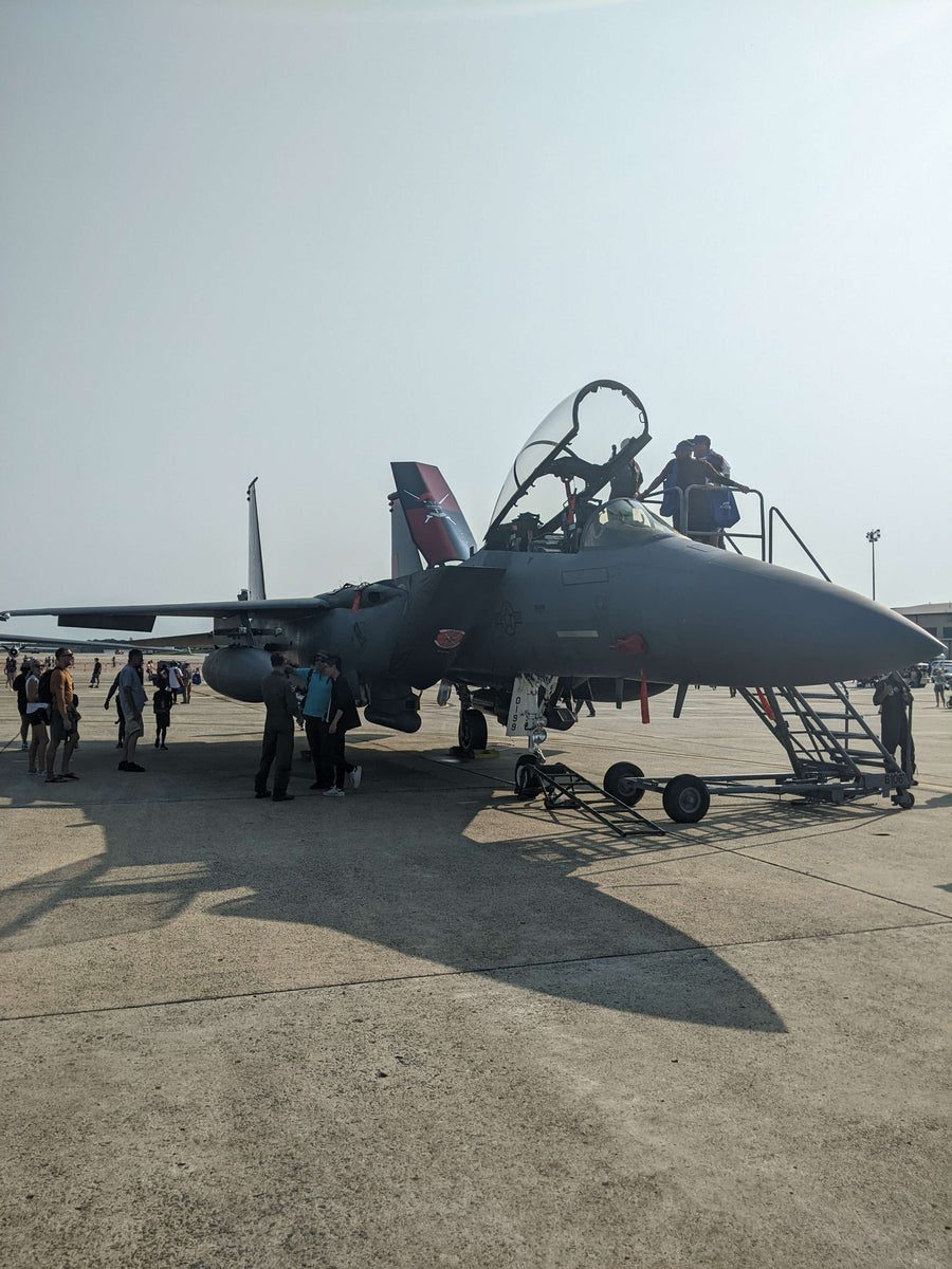 F-15E 333rd FS add-on pack – Brick Veteran™